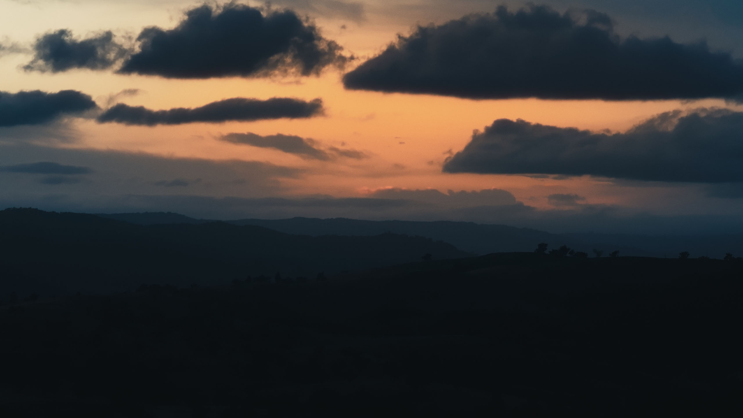 Documentary Film Color Grading | Newcastle Pathways