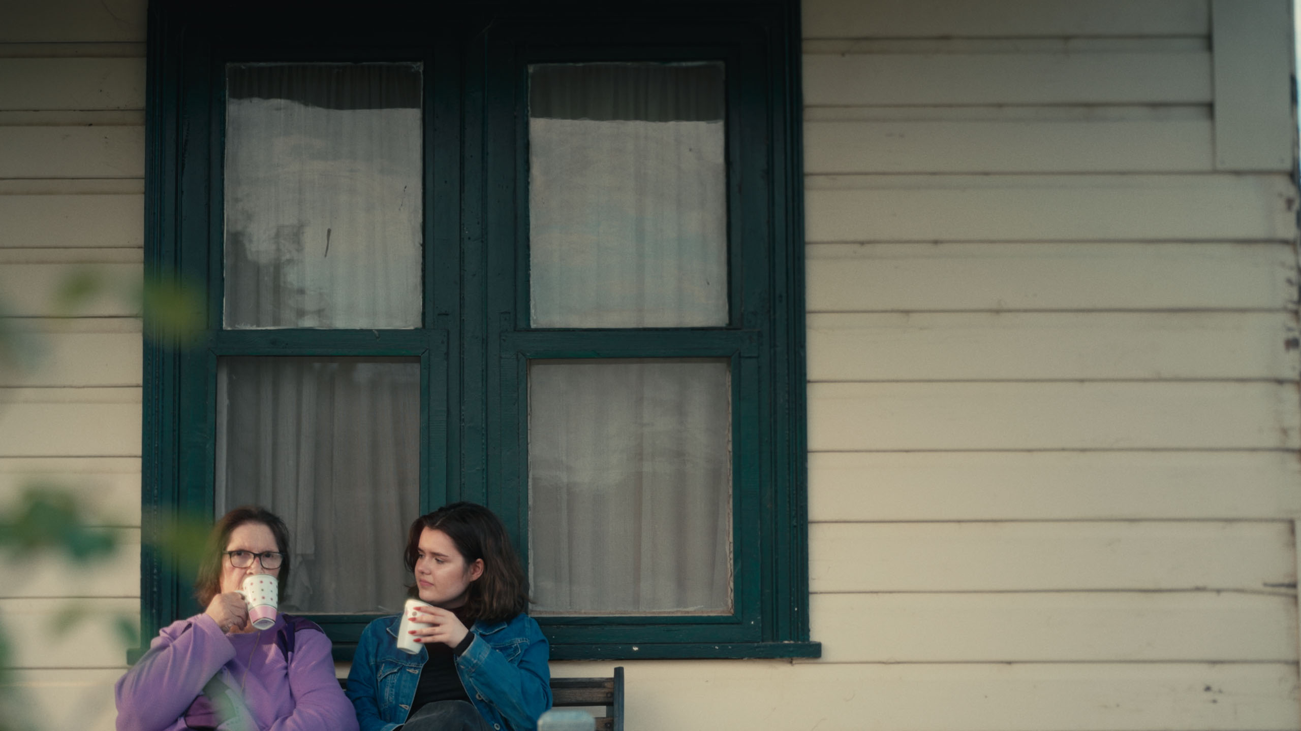 Documentary Film Color Grading | Newcastle Pathways