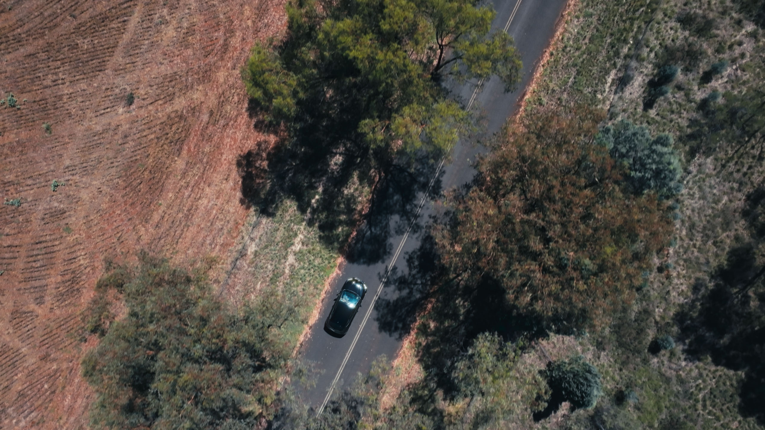 Documentary Film Color Grading Newcastle Pathways